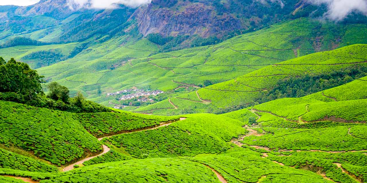 Kolukkumalai Tea Estate in Tamil Nadu